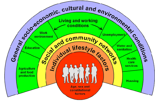 What influences our health and health inequalities? | Gloucestershire ...